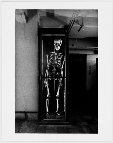 DOGRA MAGRA(Portfolio) - Kou INOSE | AKIO NAGASAWA