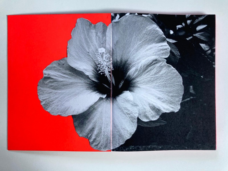 Okinawa Mon Amour / B - Publication | AKIO NAGASAWA