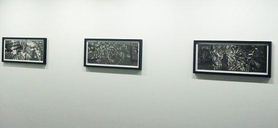 Open! Kou INOSE ” PHANTASMAGORIA” - Blog | AKIO NAGASAWA